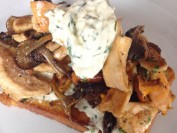 Baravin at Aberystwyth - All That I'm Eating