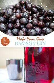 Damson Gin - how to make it - All That I'm Eating